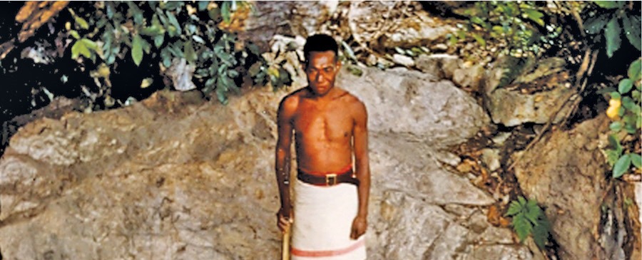 The Ethics of Being Collected | Hopkins Press